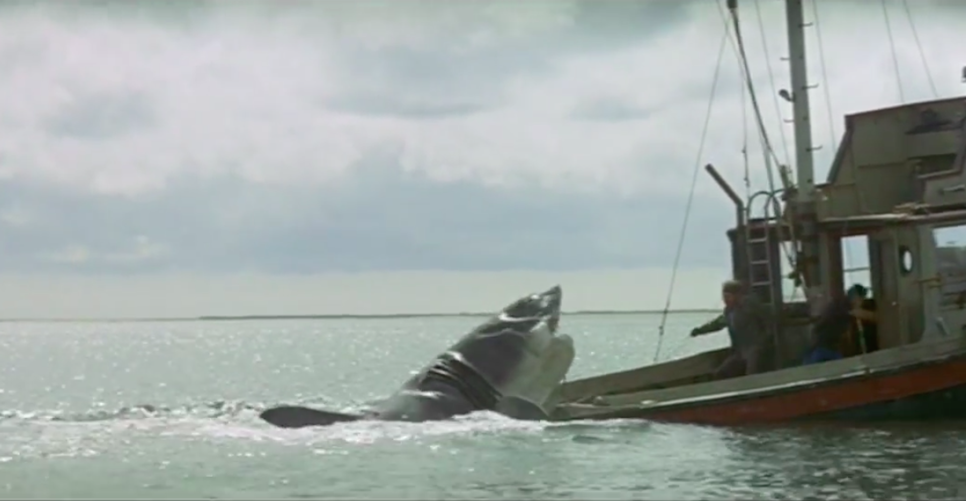 How Jaws ate the horror genre – and has yet to spit it out