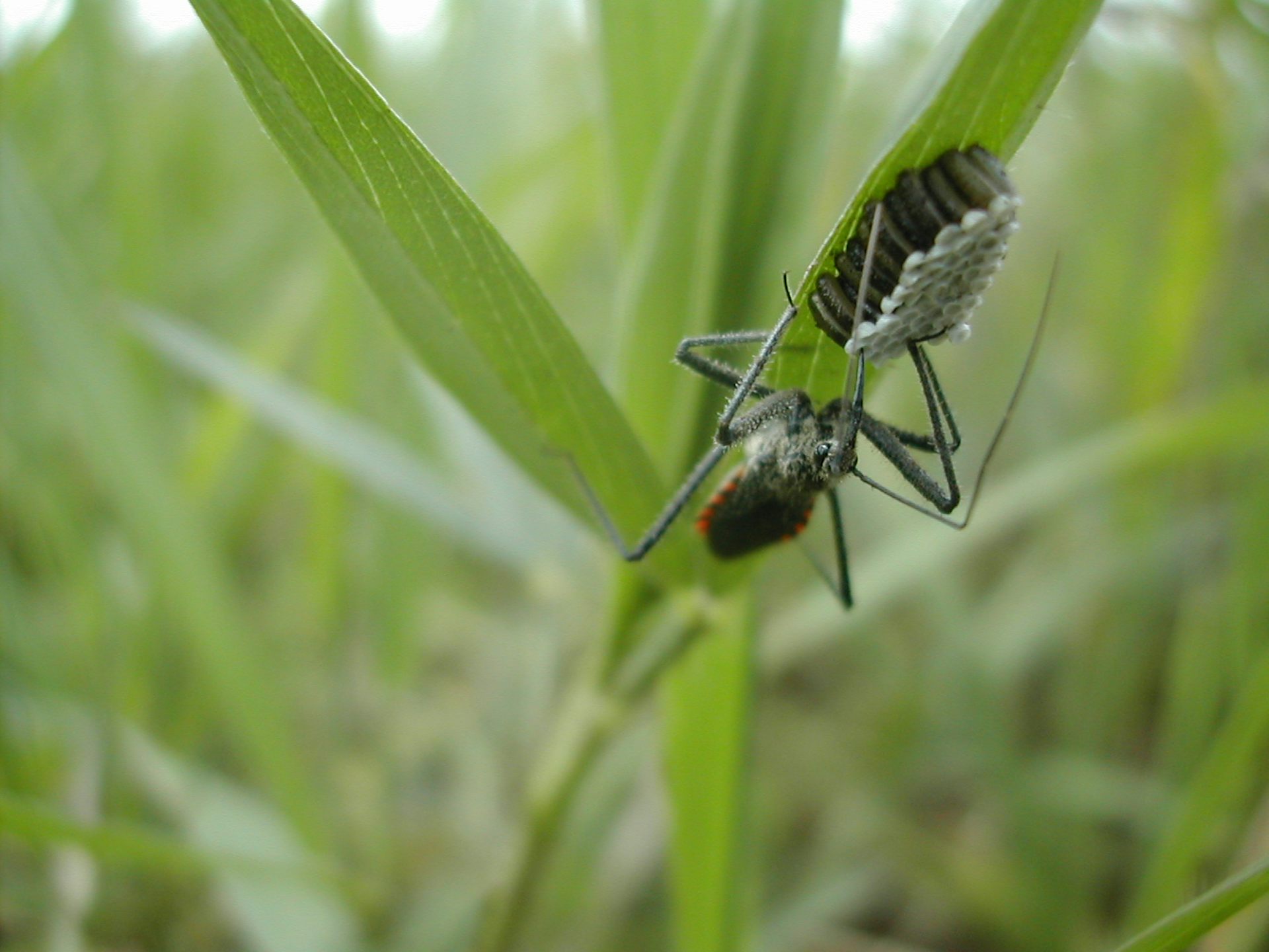 This Father's Day, be grateful your dad is a human