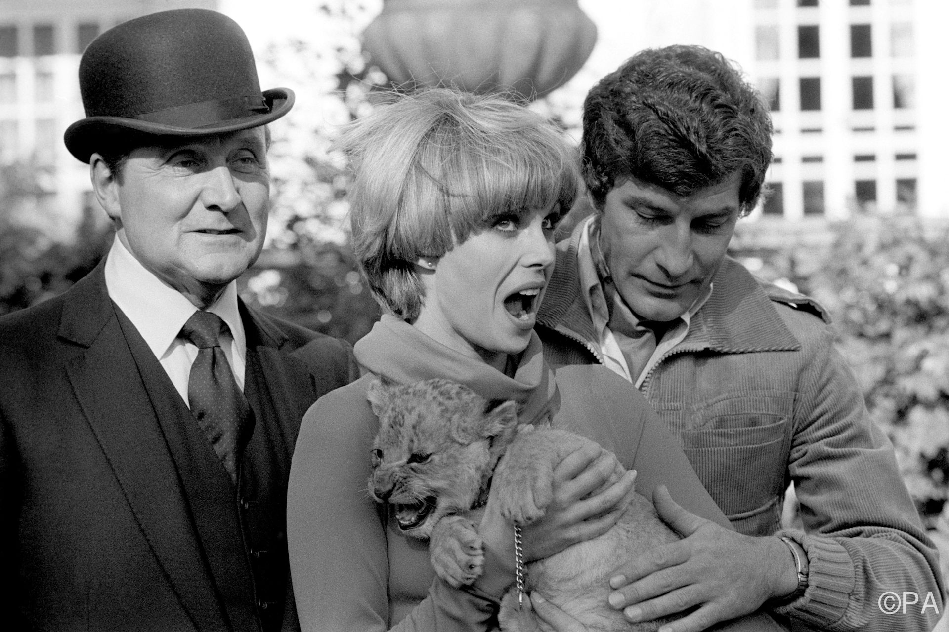 Patrick Macnee: gallant Steed who personified the Swinging Sixties