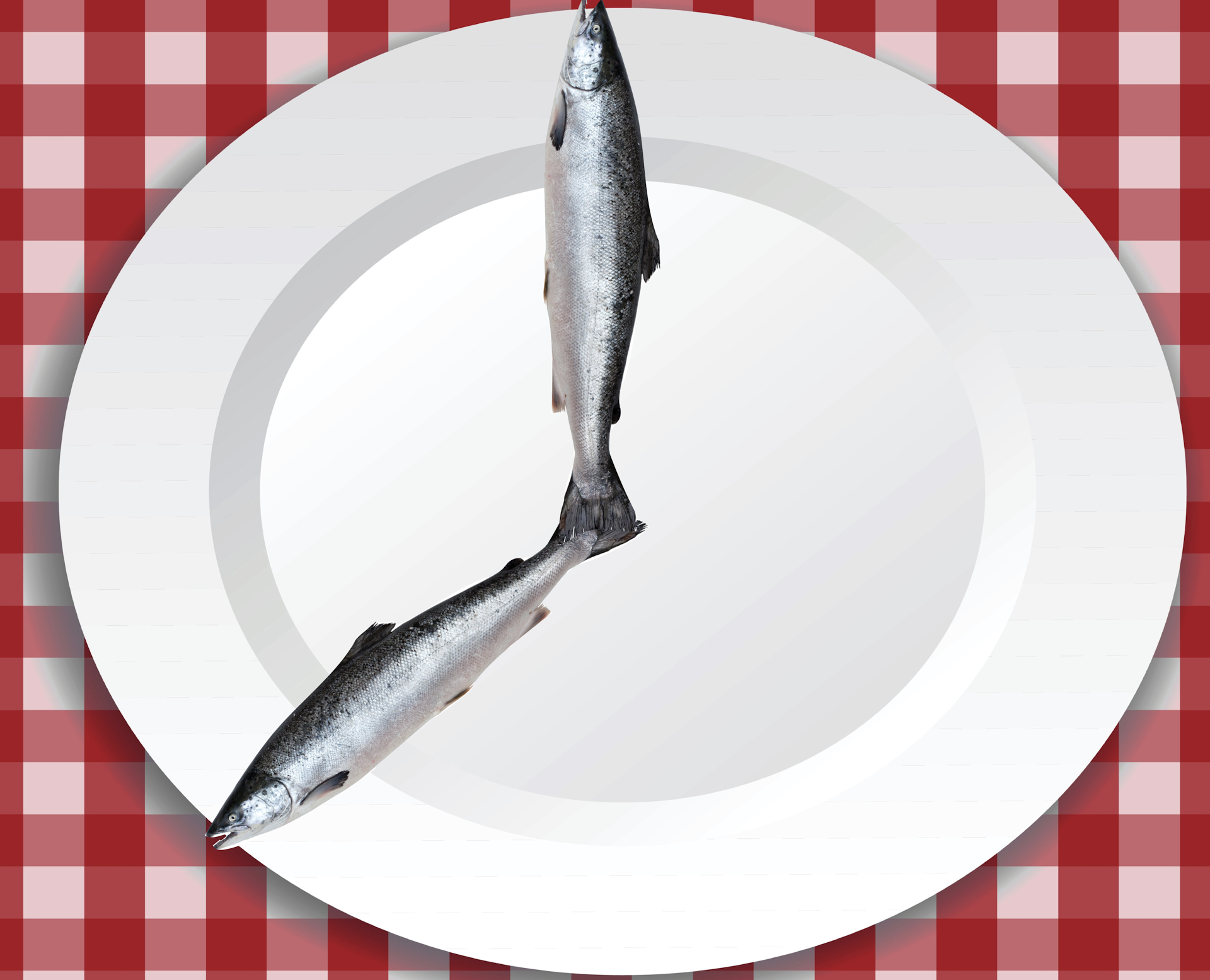 Pathogen-carrying invasive fish from China threatens US waterways