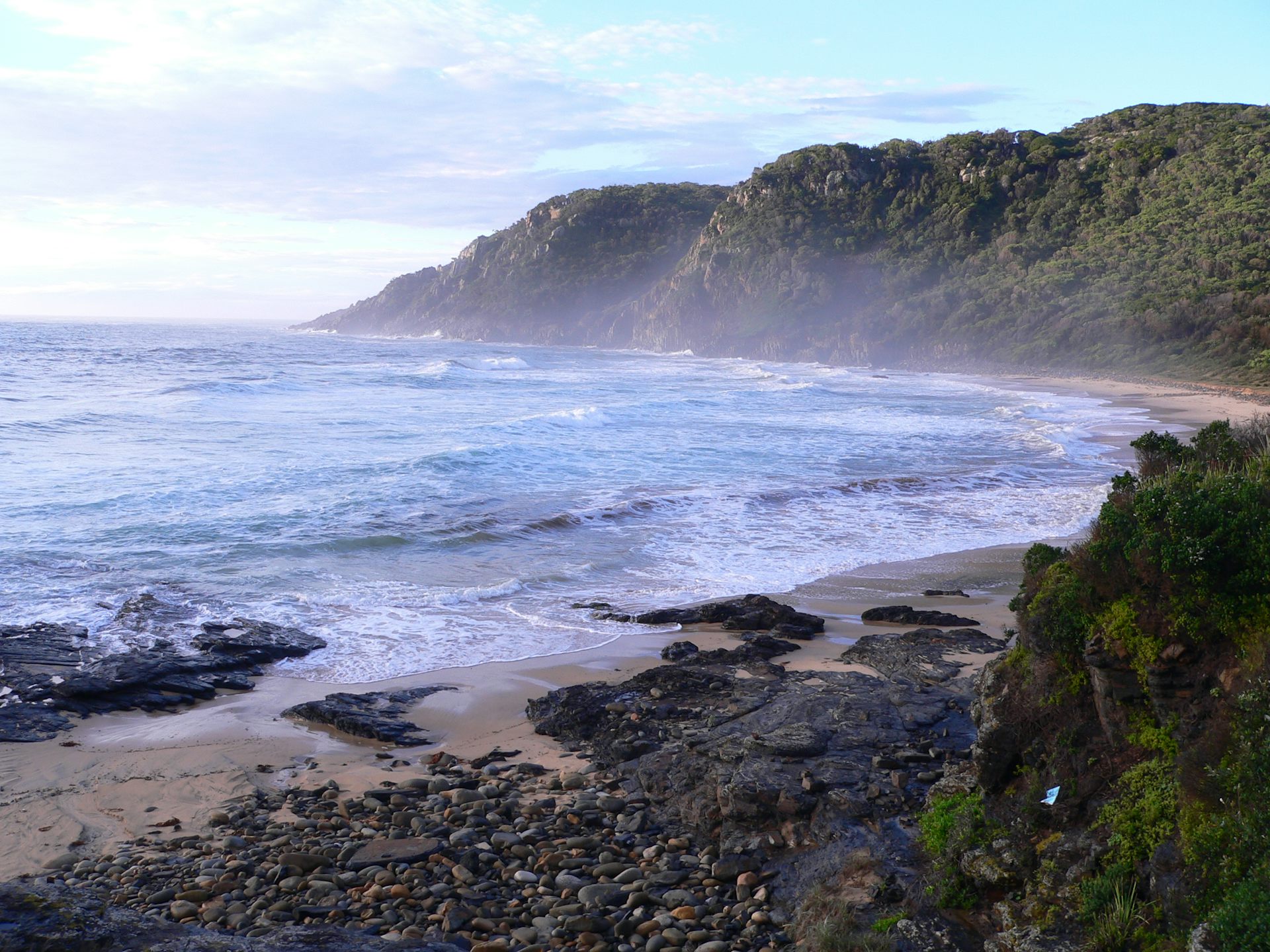 Plate tectonics may have driven the evolution of life on Earth