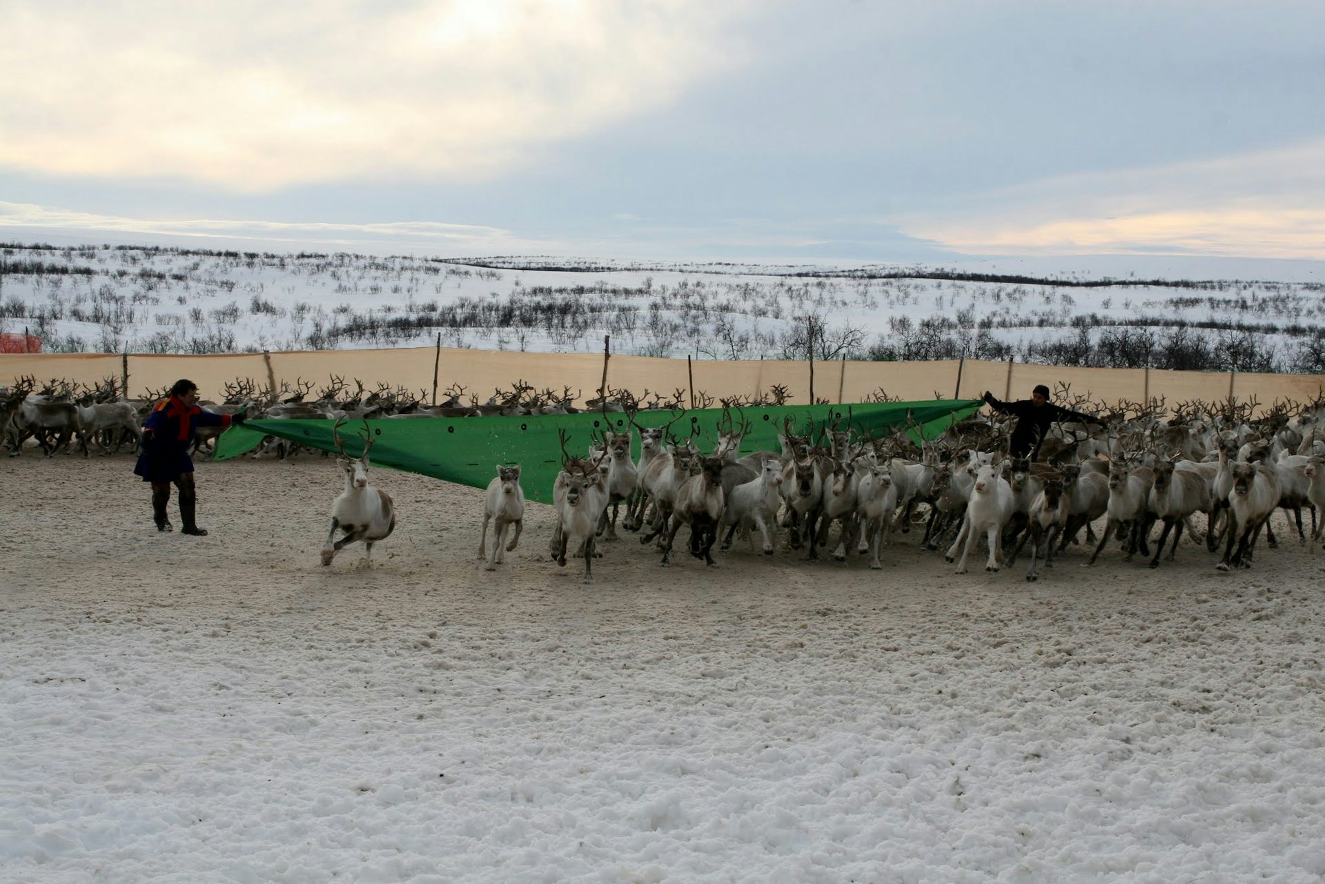 Scientists at work: understanding human cooperation in a changing world