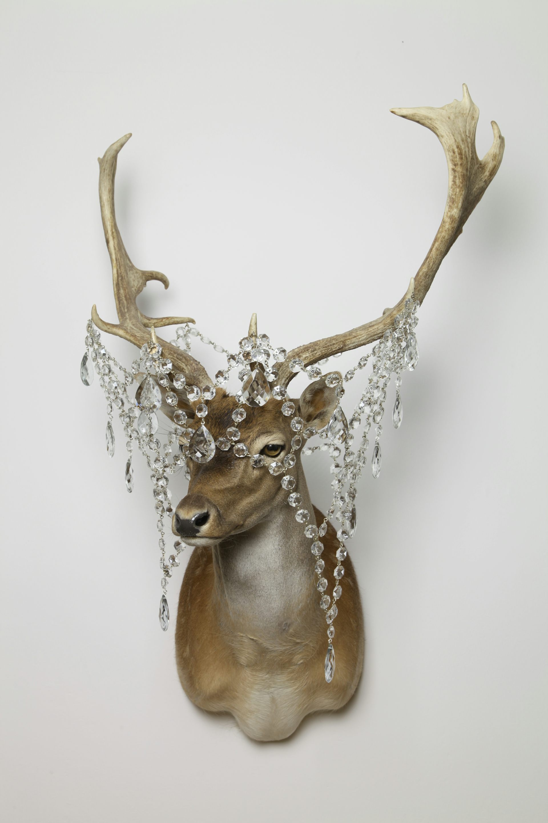 The South Australian Living Artists Festival is like no other – see for ...
