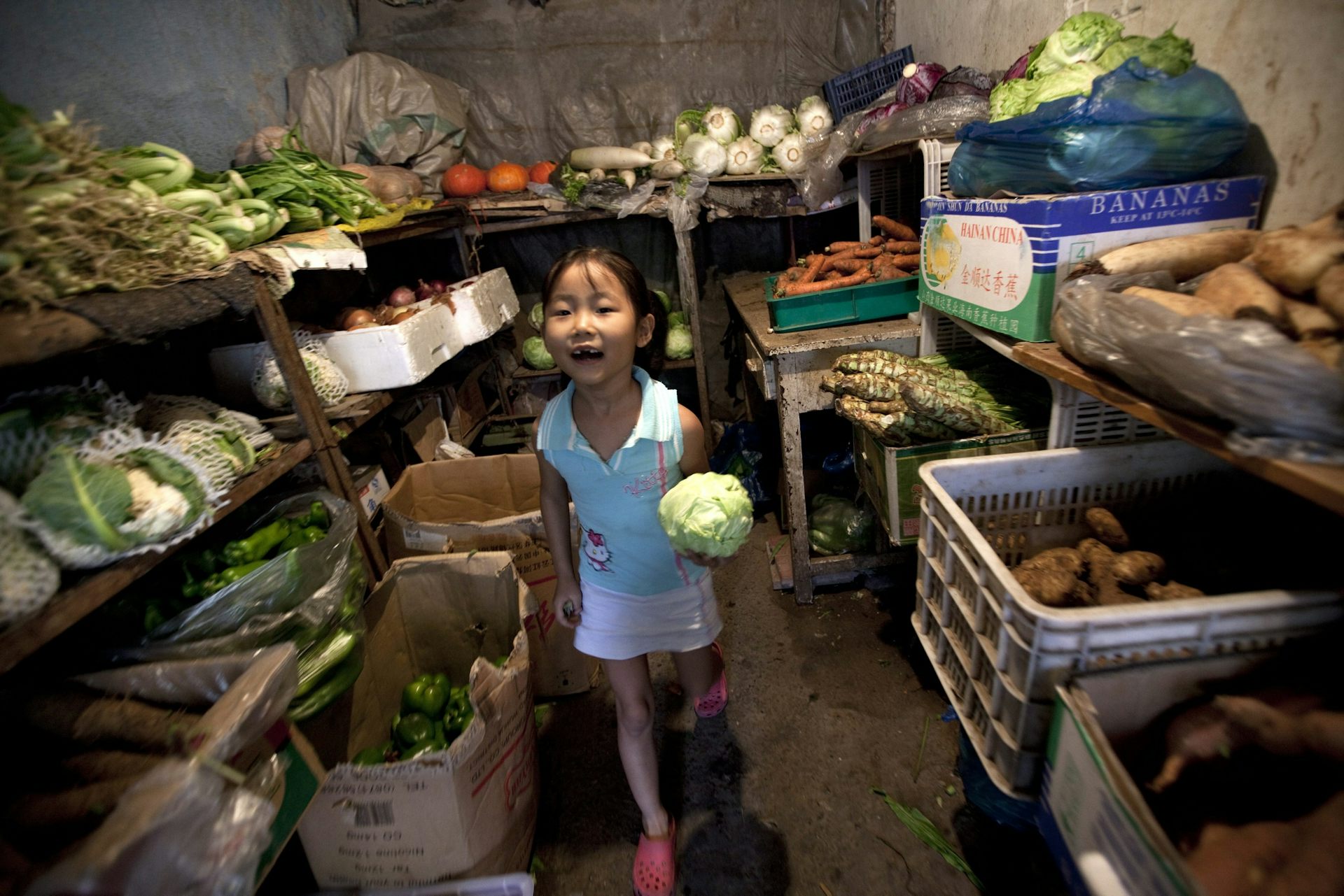 Food fight: the battle for justice from paddock to plate