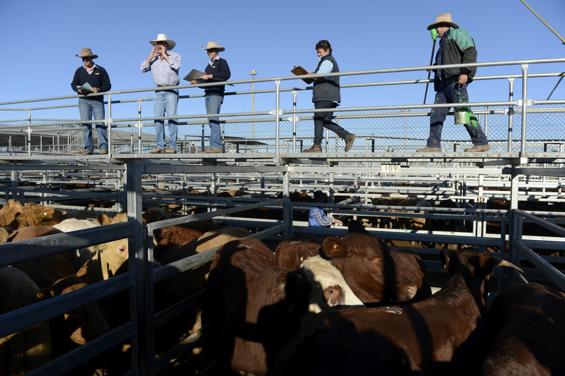 Rinehart rides the beef boom as conditions set for higher prices