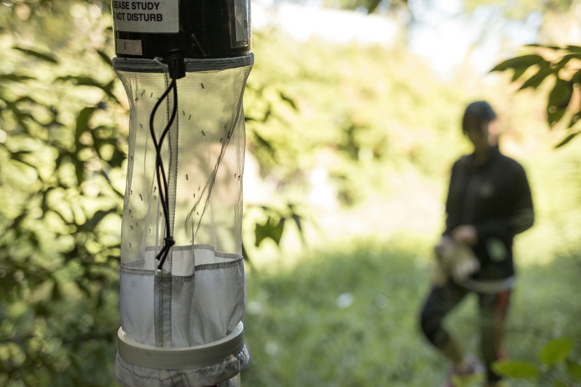 How a new test is revolutionising what we know about viruses in our midst