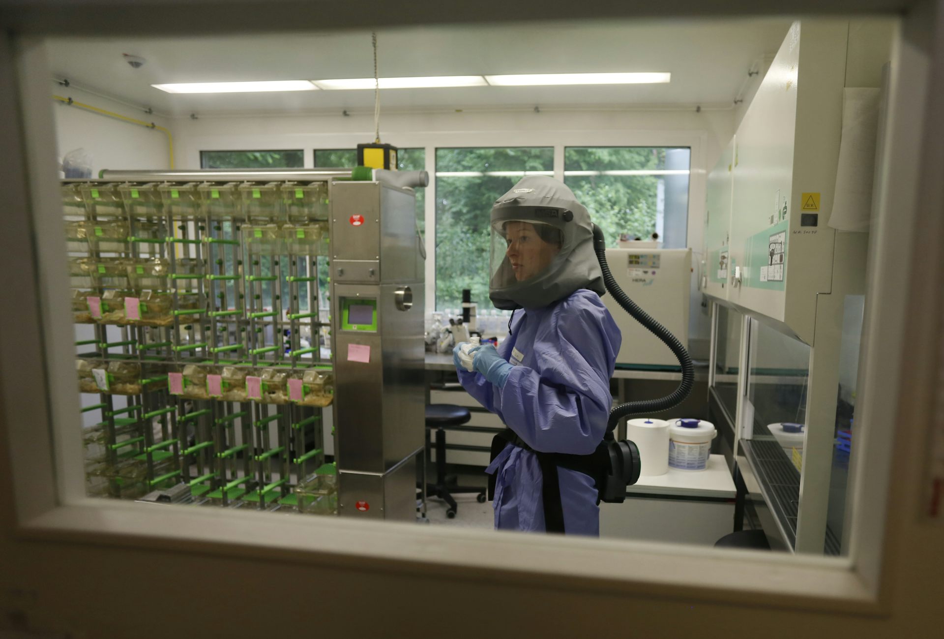 Researchers carefully protect dangerous pathogens – but how secure are ...