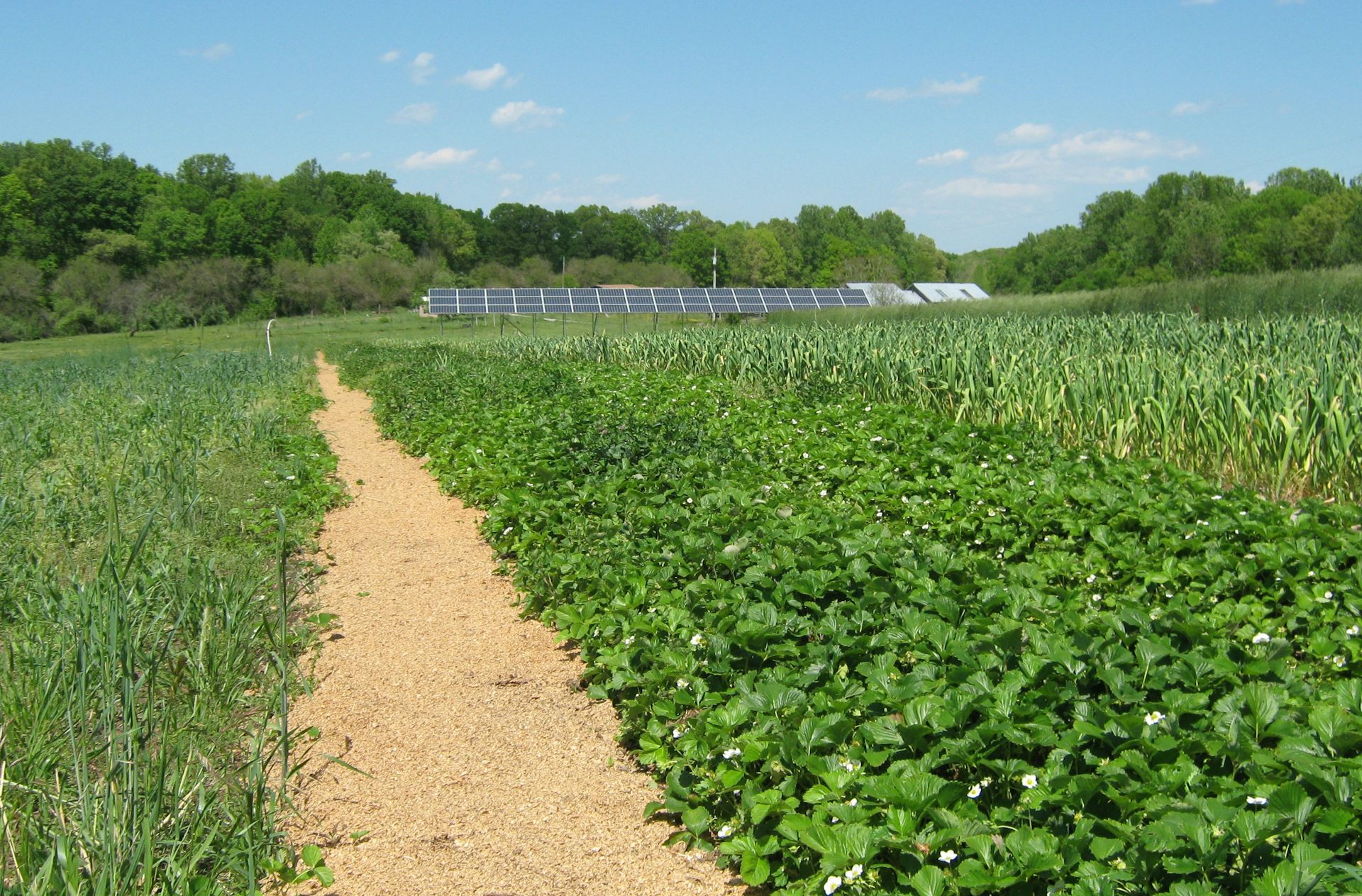 In defence of ecovillages: the communities that can teach the world to ...