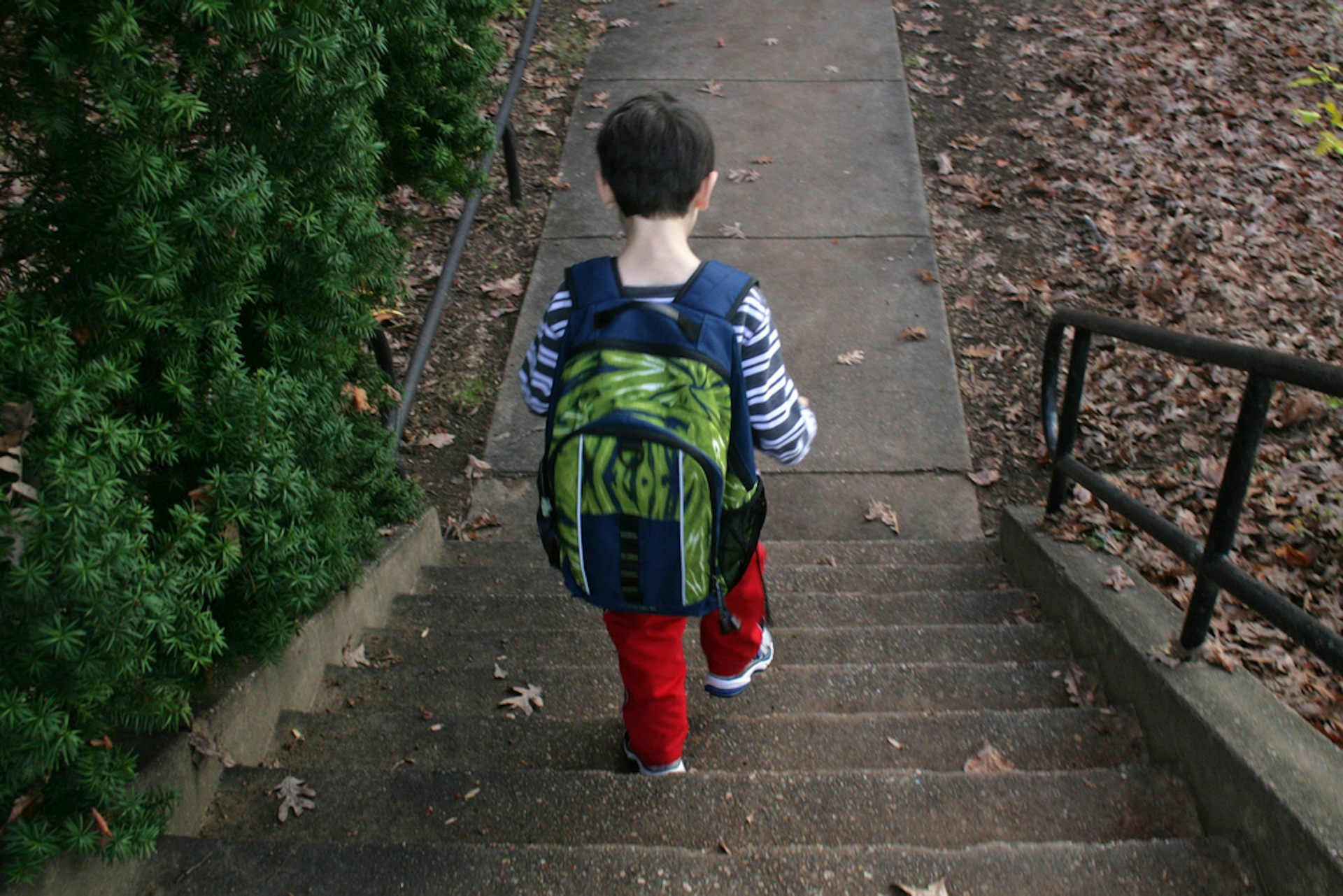 Back to school? A crucial time for kids’ social and emotional development
