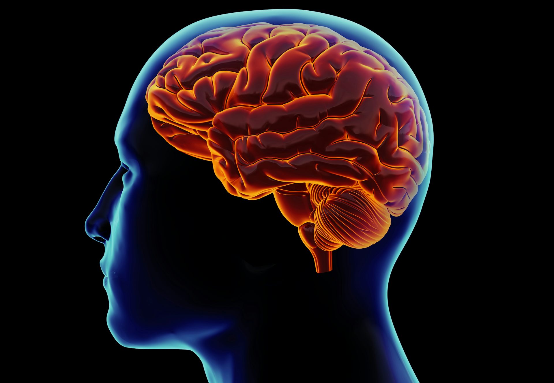 How the diets of early humans explain our eating habits