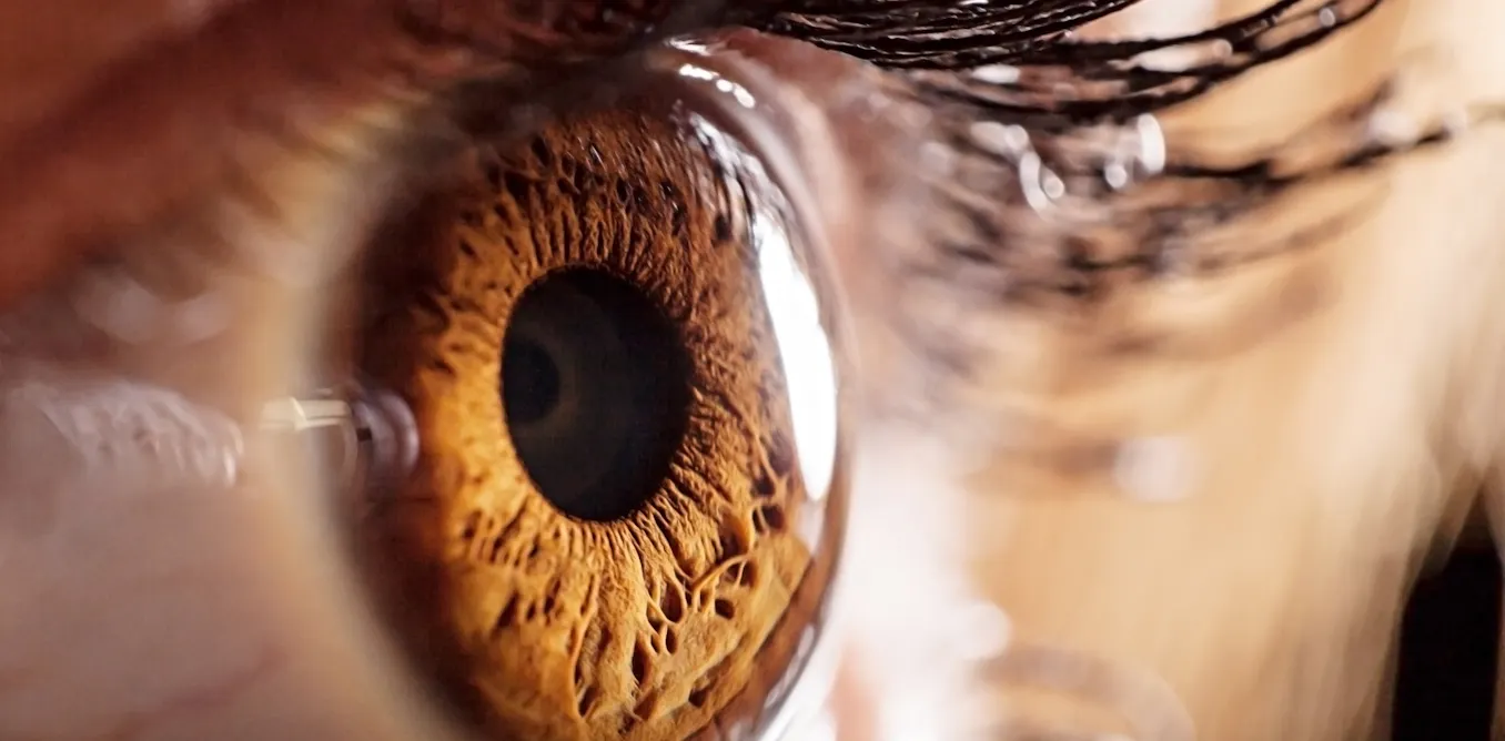Our Peripheral Vision Is Far More Sophisticated Than We Thought our-peripheral-vision-is-far-more-sophisticated-than-we-thought