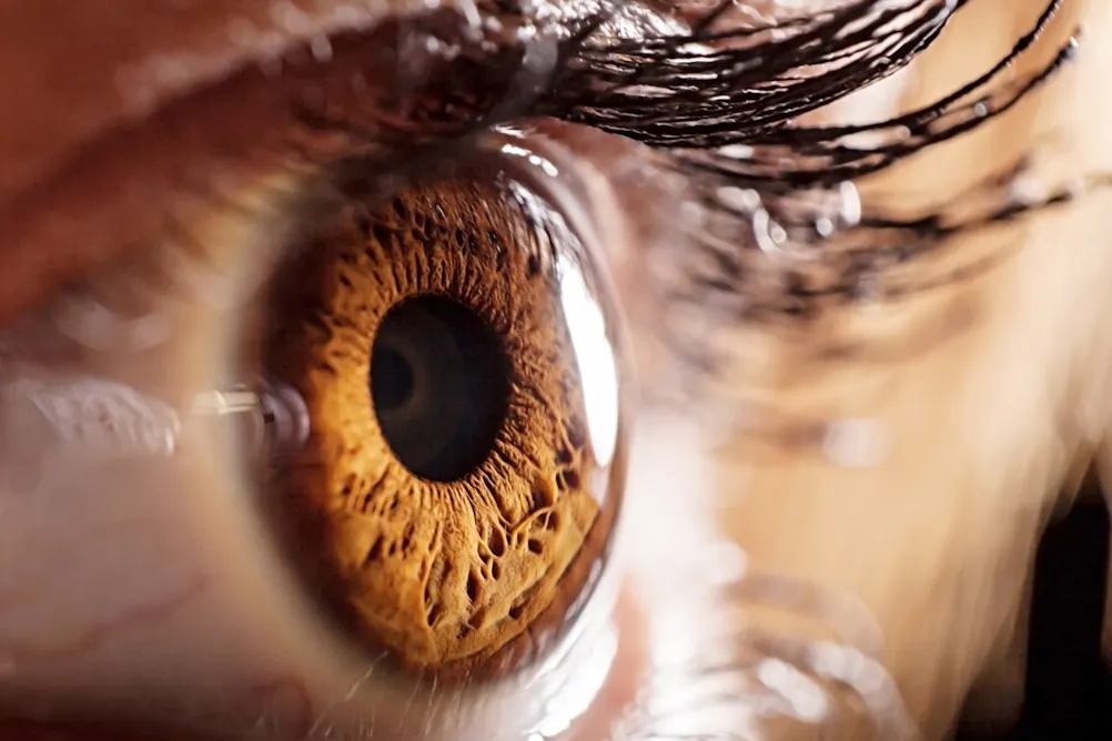 Our Peripheral Vision Is Far More Sophisticated Than We Thought Our Peripheral Vision Is Far More Sophisticated Than We Thought