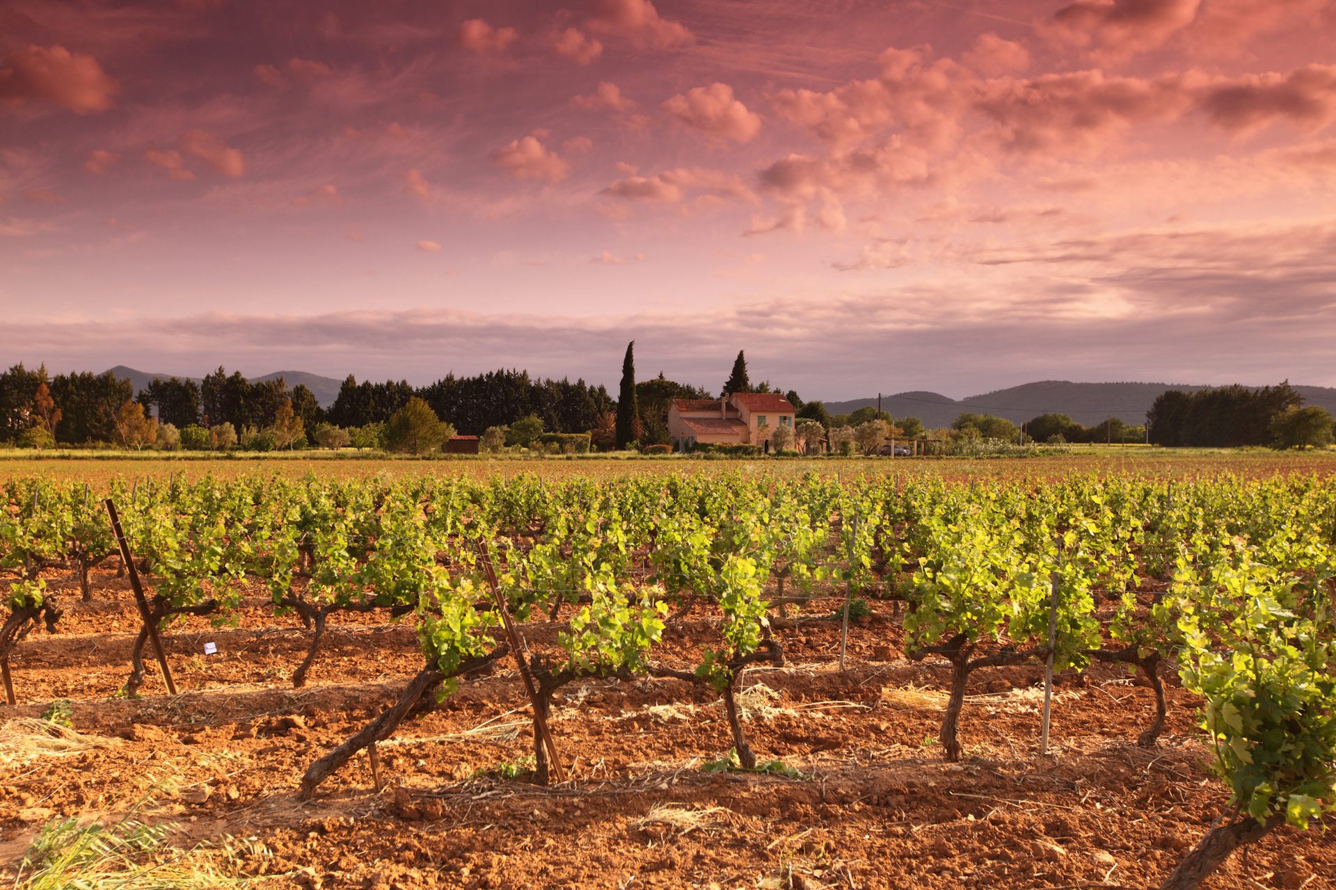 France has a great plan for its soil – and it’s not just about wine
