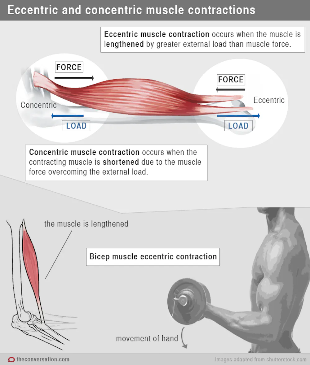 Health Check Why Do My Muscles Ache The Day After Exercise Health Check Why Do My Muscles Ache The Day After Exercise