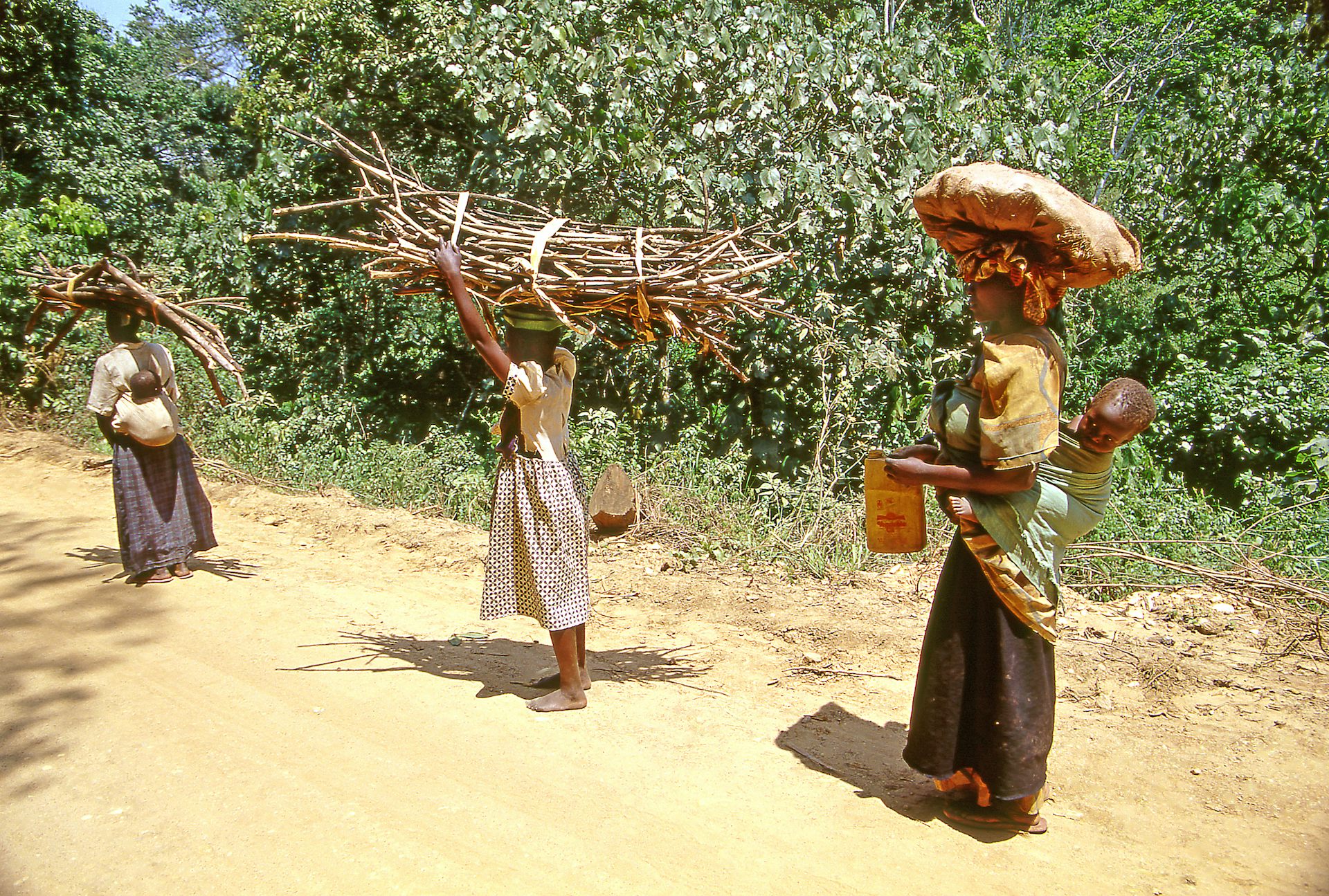 How climate change efforts by developed countries are hurting Africa's ...