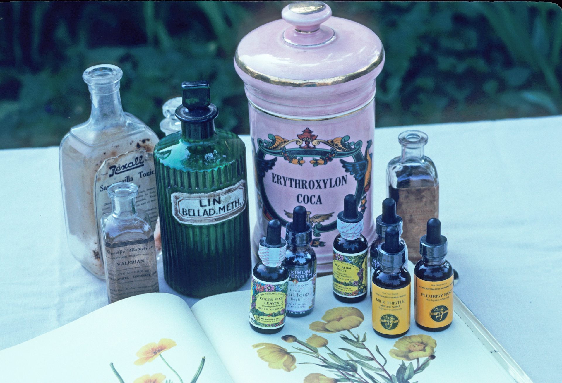 Why homeopathy must not gain a foothold in the UK