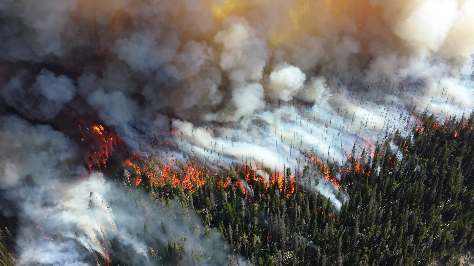 The West is on fire – and the US taxpayer is subsidizing it