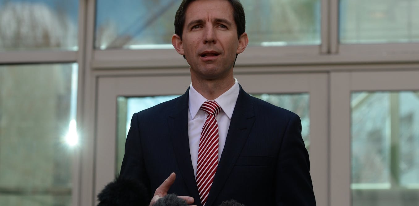 Education Minister Says Uni Fees Won t Change For 2016 education-minister-says-uni-fees-won-t-change-for-2016