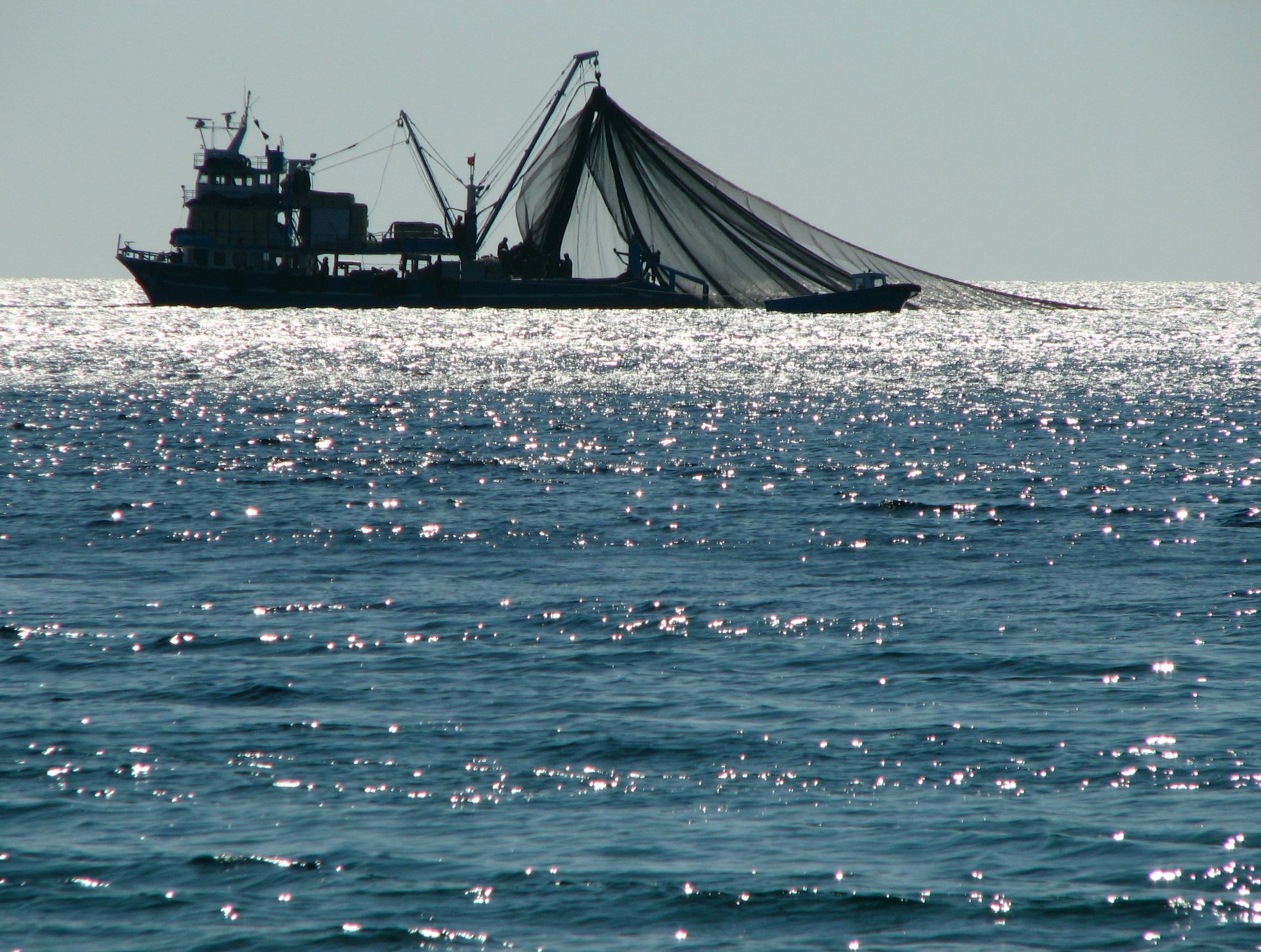 Overfishing and the Environmental and Societal Impact on the World ...
