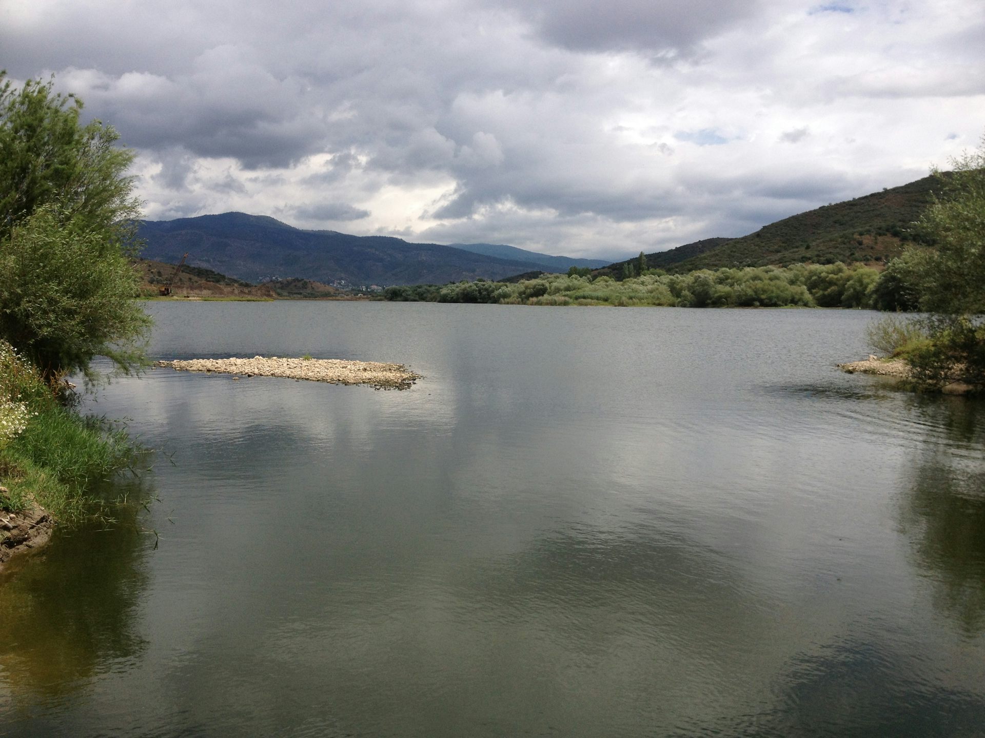 Pathogen-carrying invasive fish from China threatens US waterways