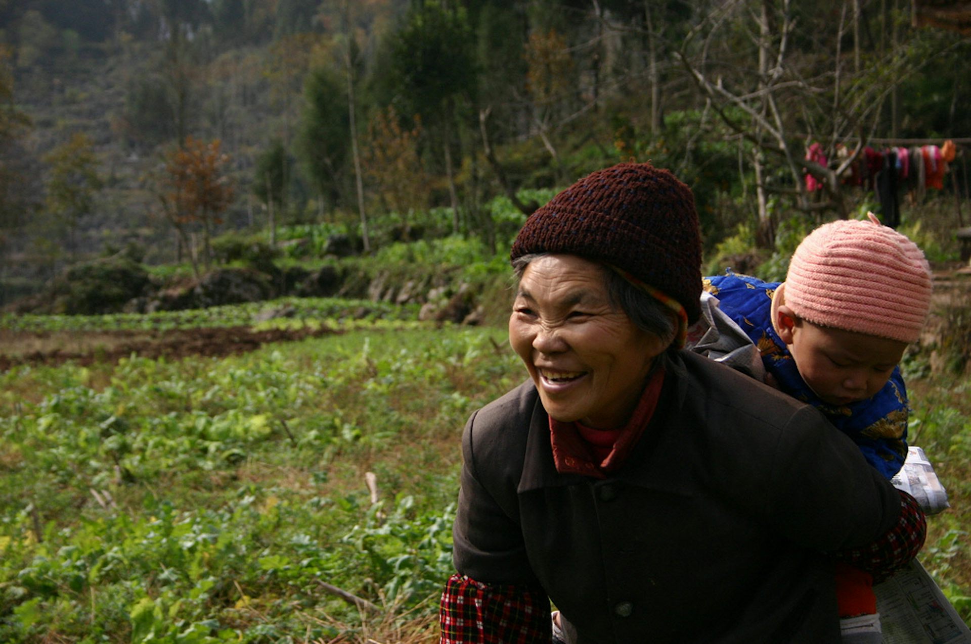 How traditional Chinese medicine drove the discovery of a Nobel-winning ...