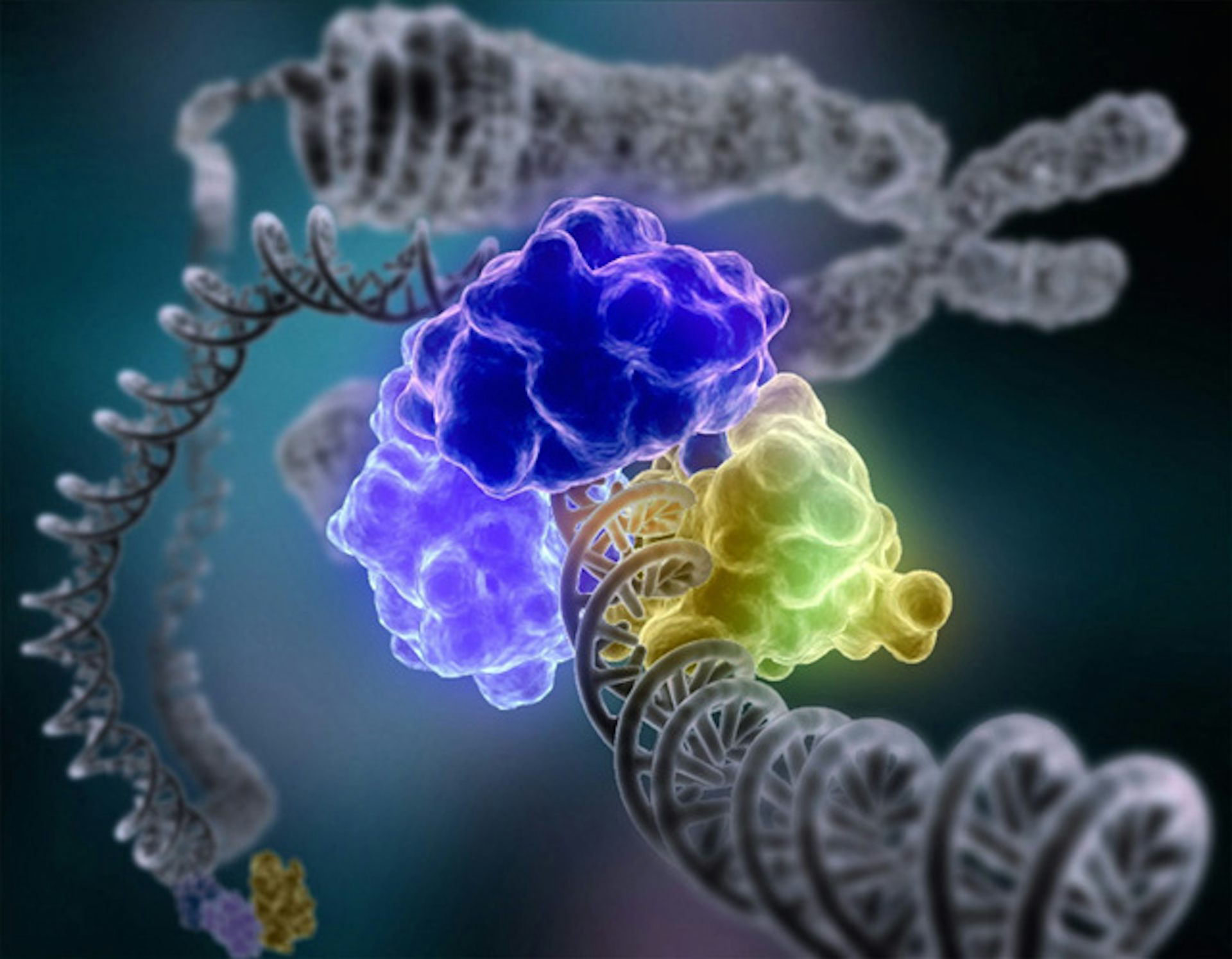 Chemistry Nobel DNA research lays foundation for new ways to fight cancer