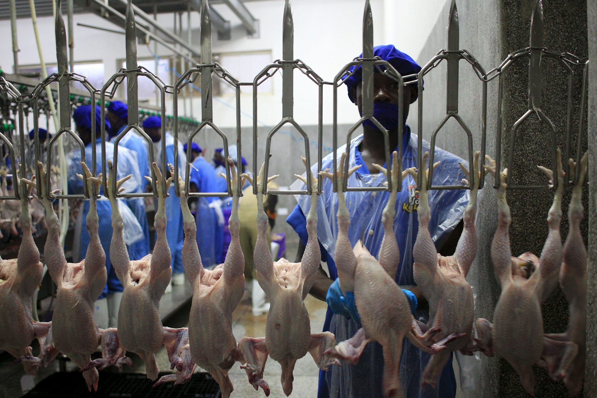 Why meat is important in the global battle against food insecurity