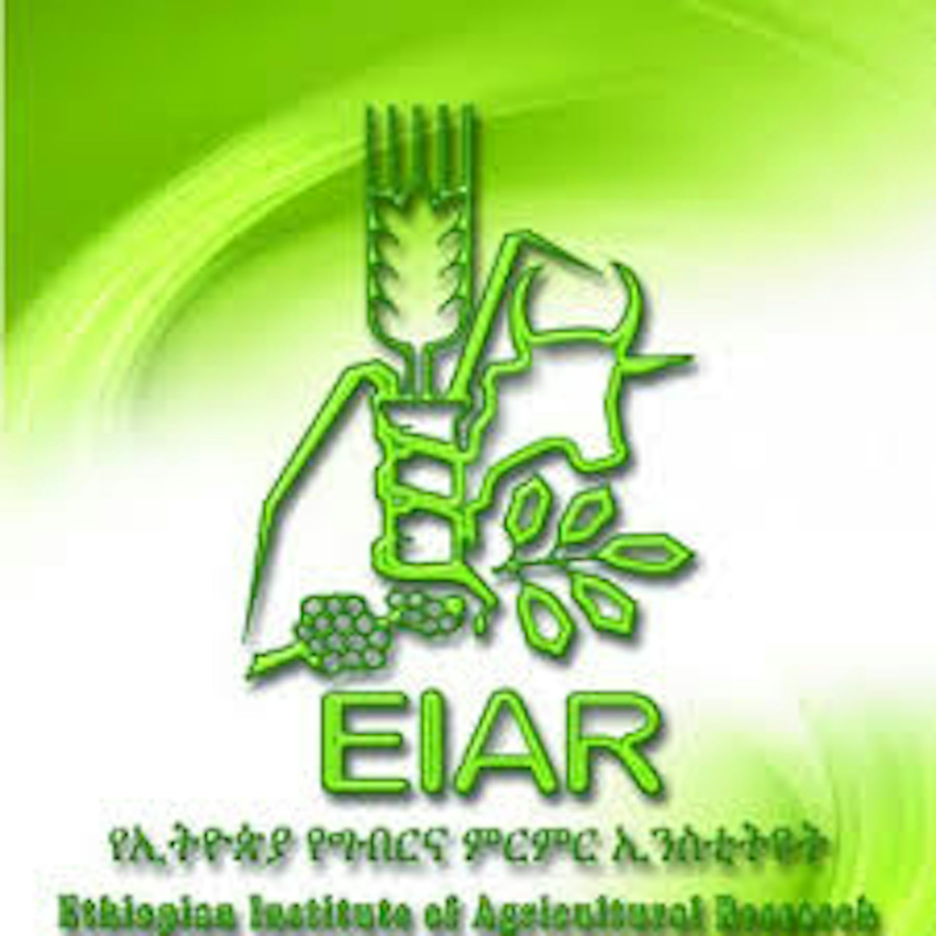 Ethiopian Institute of Agricultural Research on The Conversation