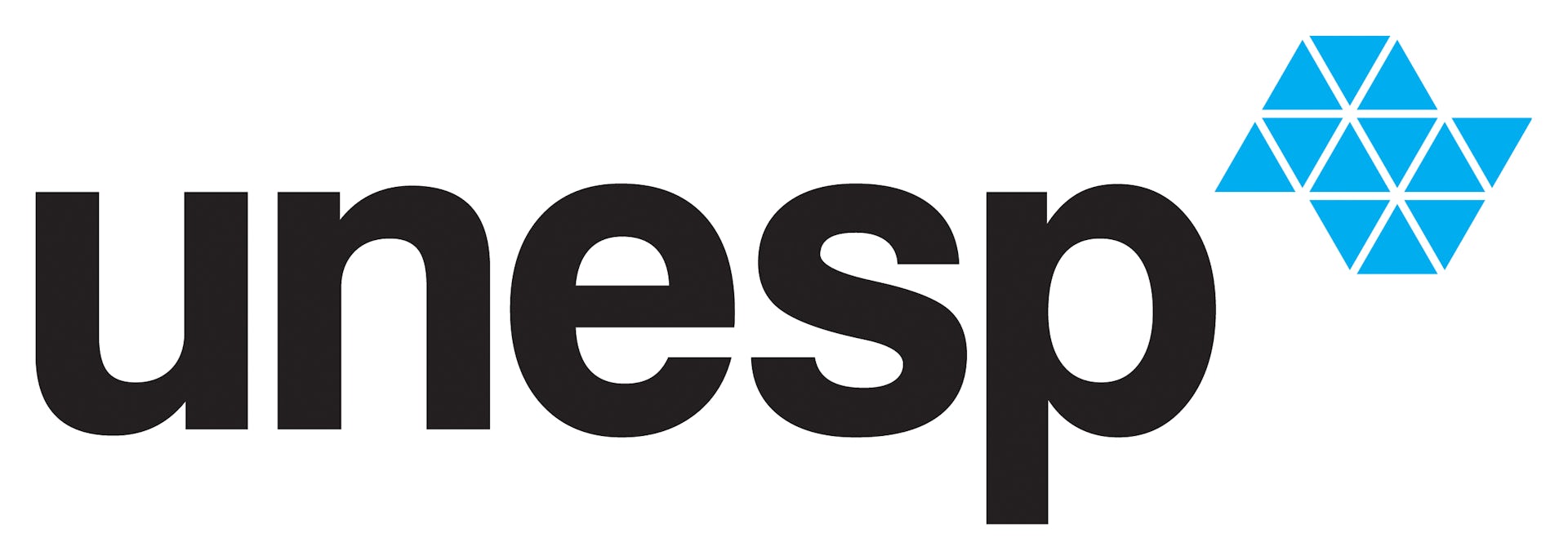 Universidade Estadual Paulista (Unesp) on The Conversation