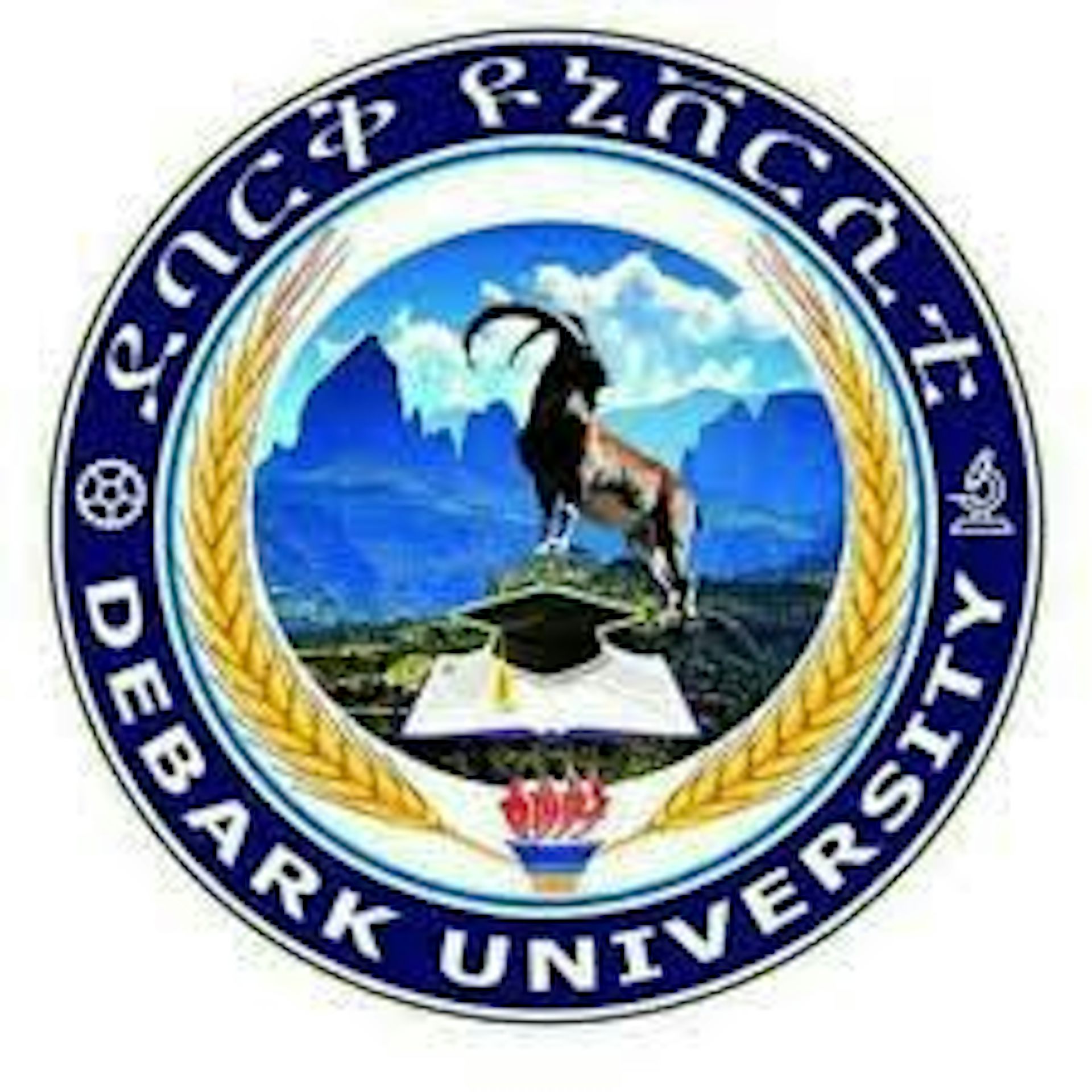 Debark University on The Conversation